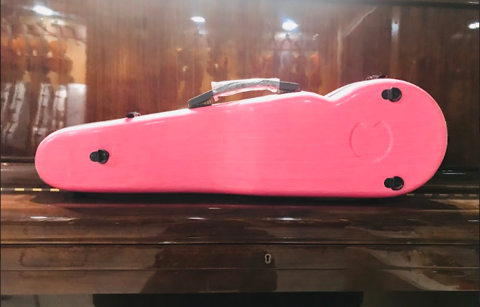violin case - The Cadu Violin