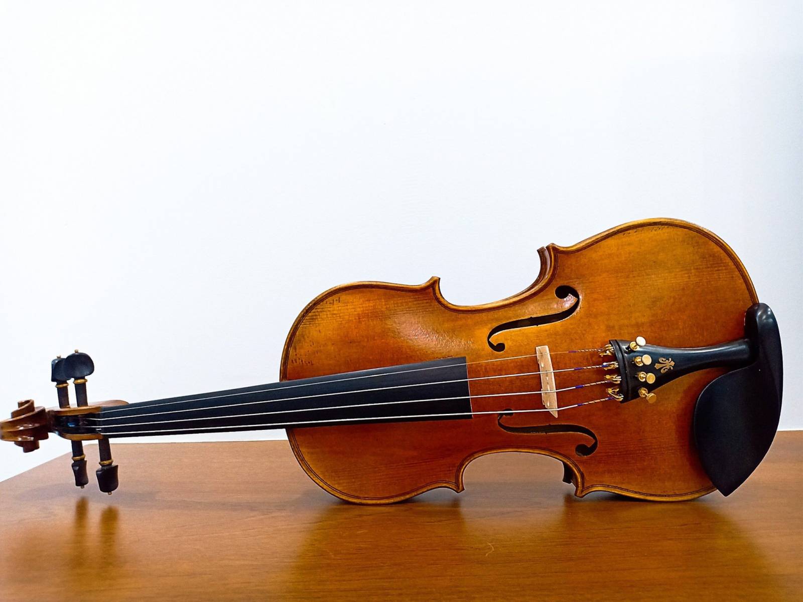 Cadu Violin CD-05i - The Cadu Violin